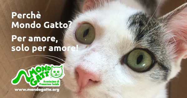 Mondo Gatto - Associazione di promozione sociale